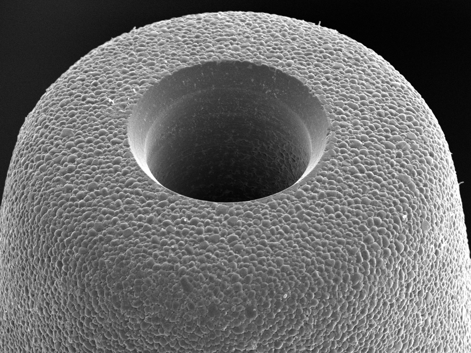 CR Capillary - SPT Roth Ltd